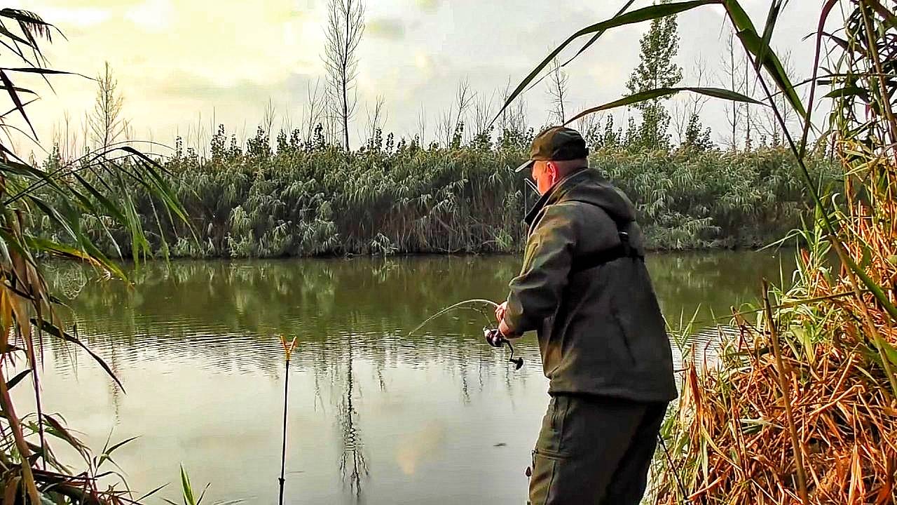 ДА КТО В ЭТОЙ ЯМЕ!!!_ ПРОВЕРИЛ ЕЩЕ ОДНУ, НЕ ОЖИДАЛ ТАКОГО КЛЕВА!!! Рыбалка на донки осенью.
