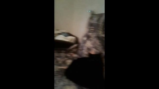 Жизнь дядюшки