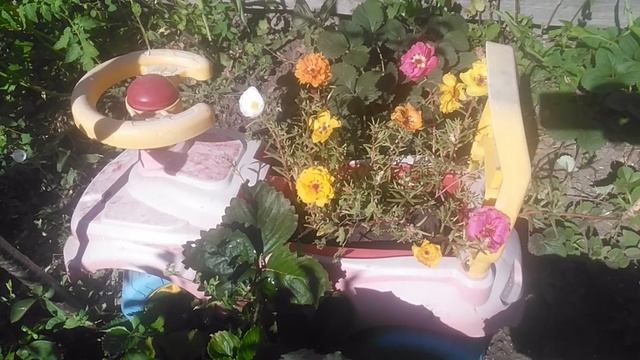 VID_20250710_083811.mp4