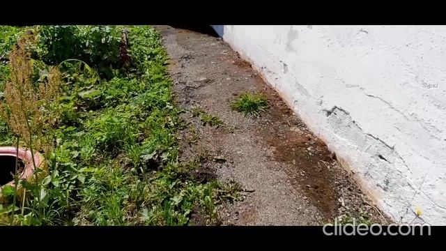 Дополнительные инвестиции 2023 Первомайская 2 А