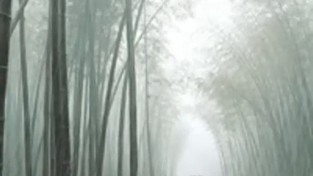 Вальс дождя