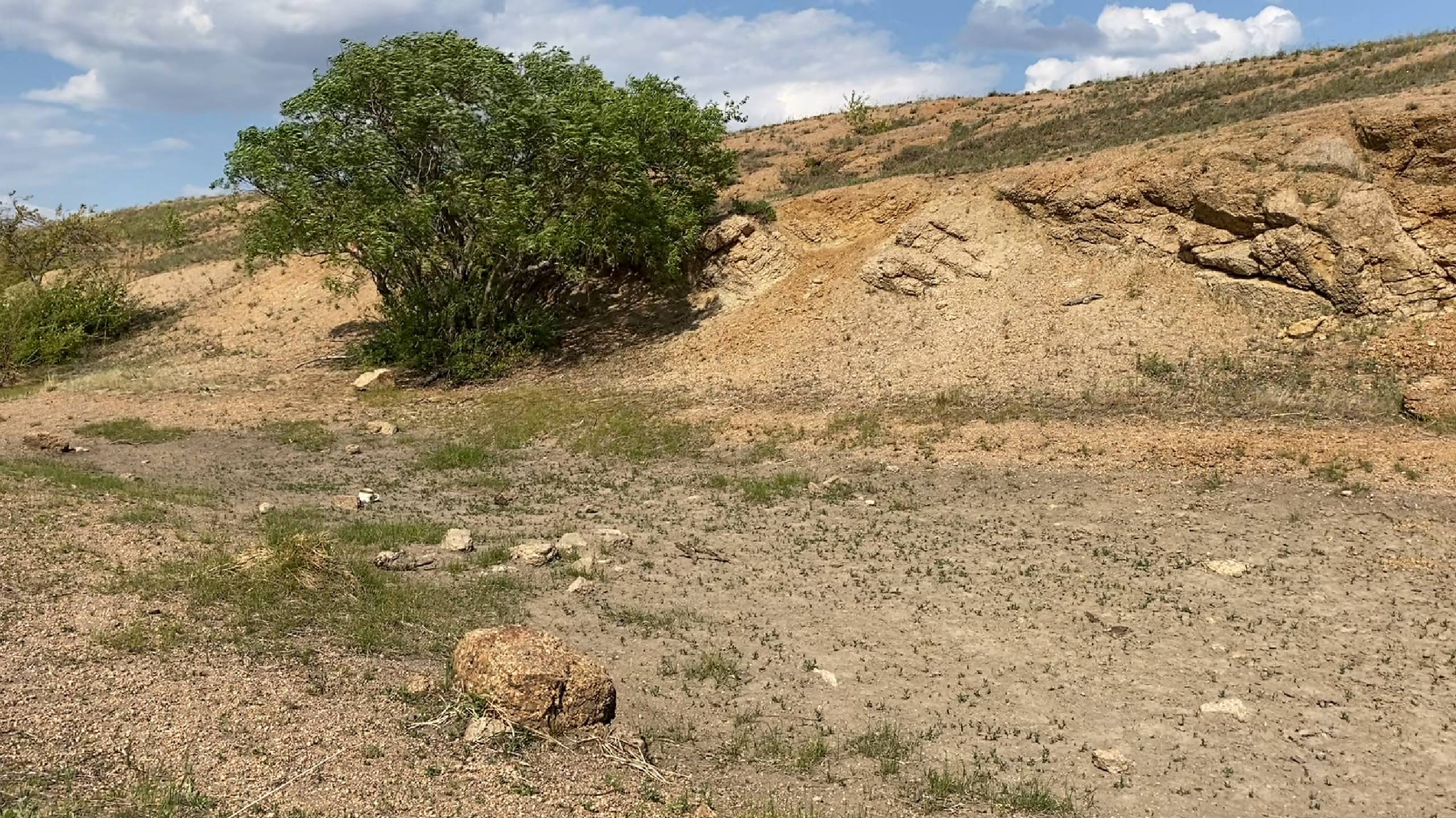 ЗЛАключение: Краснокаменск, высохшее озерцо