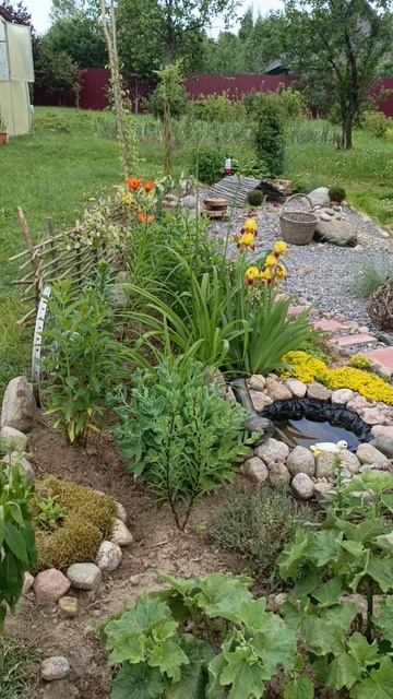 Мой сад... #flovеrs #homegarden