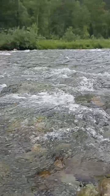 Горный Алтай. Река Куба. https://t.me/mir_glazami_idushego