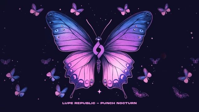 Lupe Republic - Punch Nocturn [Journey of the Soul]
