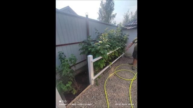 Монино Ягодная 10 июль 2025