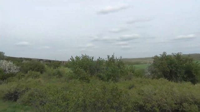 Прохоровские(ближние) скалы