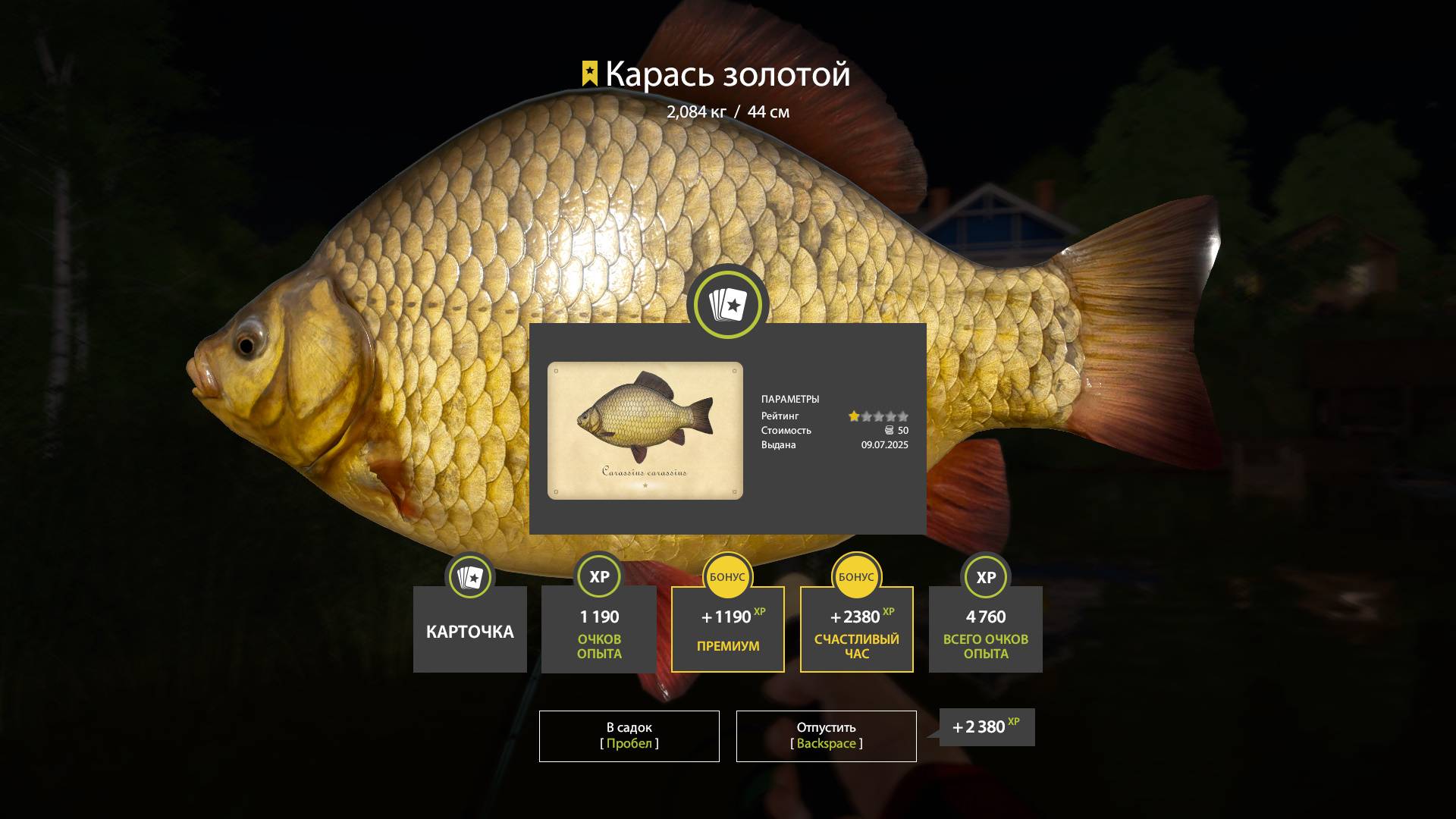 ТРОФЕЙ КАРАСЬ ЗОЛОТОЙ И СЕРЕБРЯНЫЙ!!!КОМАРИНОЕ - РУССКАЯ РЫБАЛКА 4