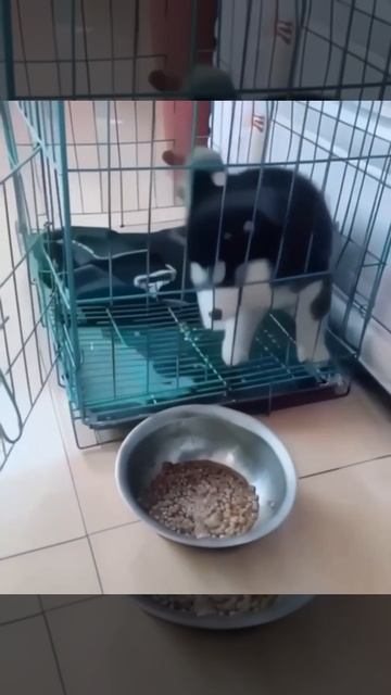 когда очень хочешь есть