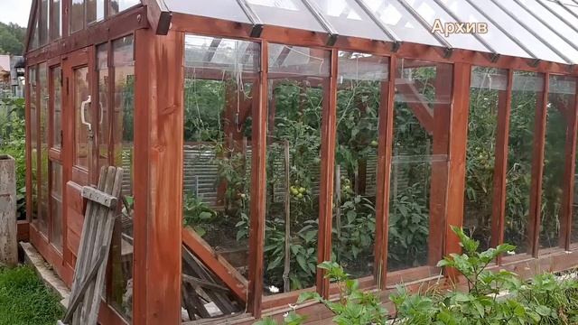 2025_07_10_Во саду и в огороде