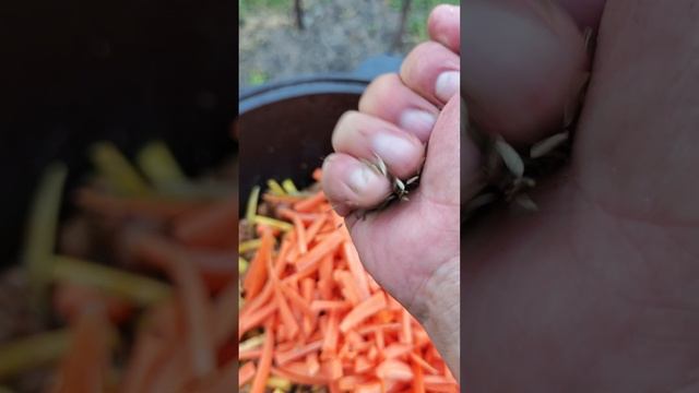 "Узбекский плов: мужская версия (или как не спалить казан)"