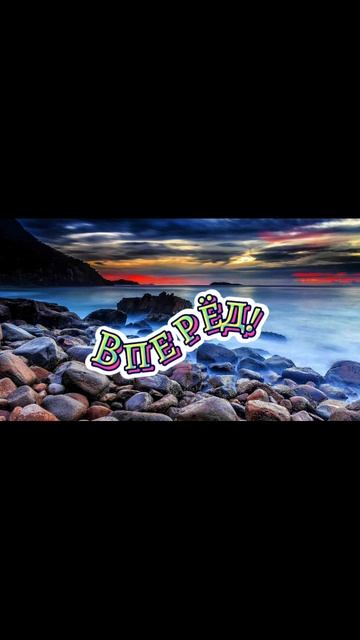 Заказ от Огнезвёзда на даче|Эдит Утёсу, Гусохвосту, Белке и Звездоцапу