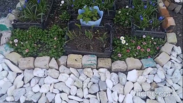 Райский уголок 1  Первомайская 2 А 2025