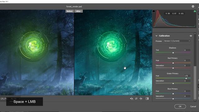 Lesson 9 - CameraRAW