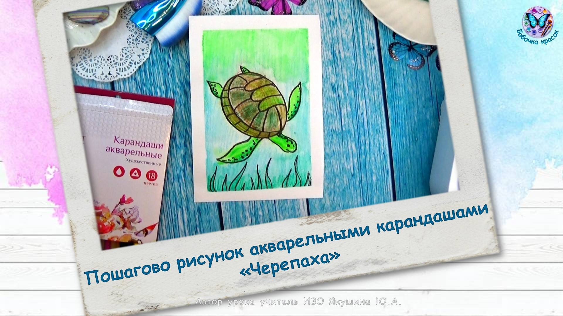 Пошагово рисунок акварельными карандашами «Черепаха»