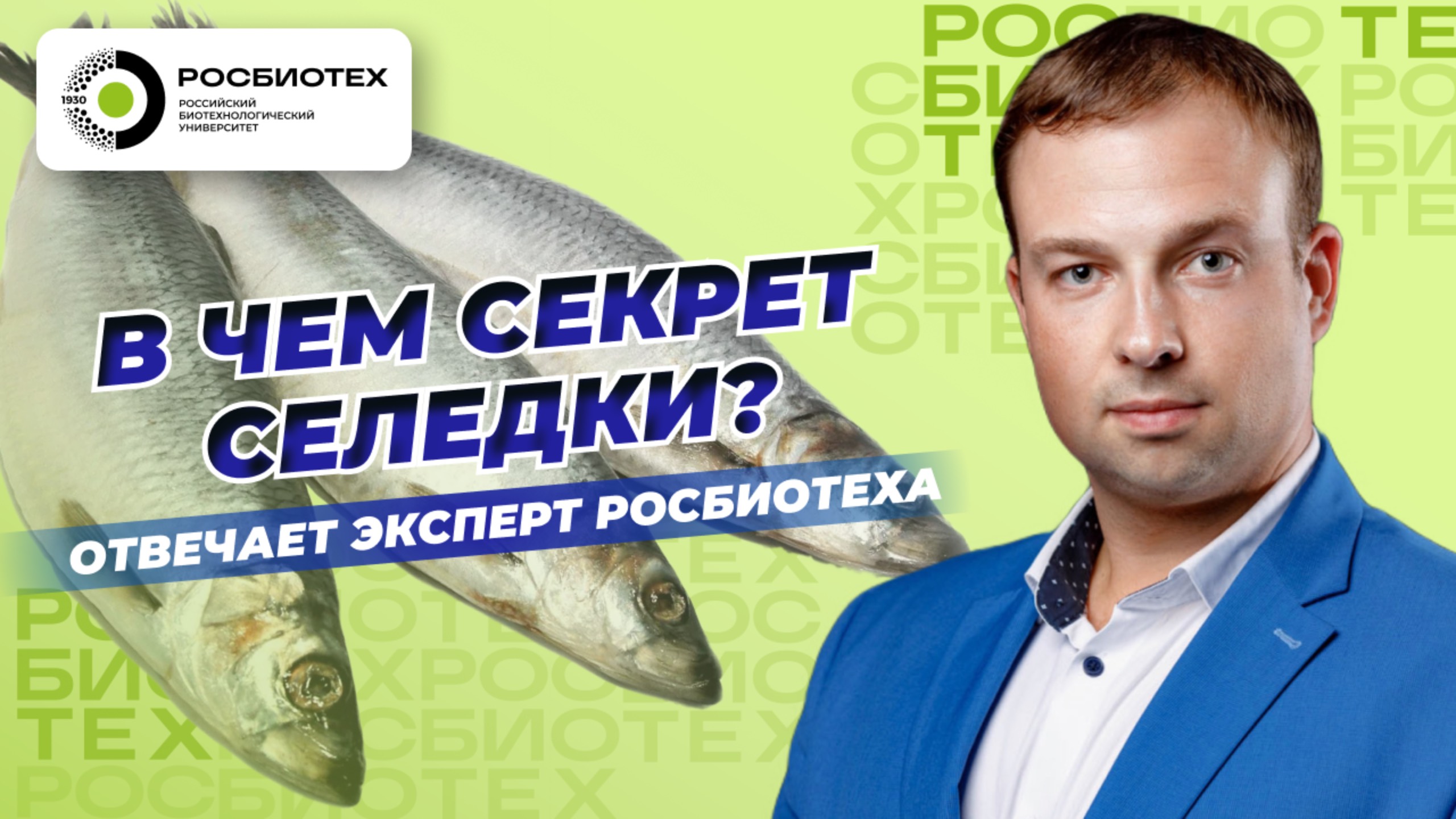 Историк кухни про то, как селедка попала на русский стол