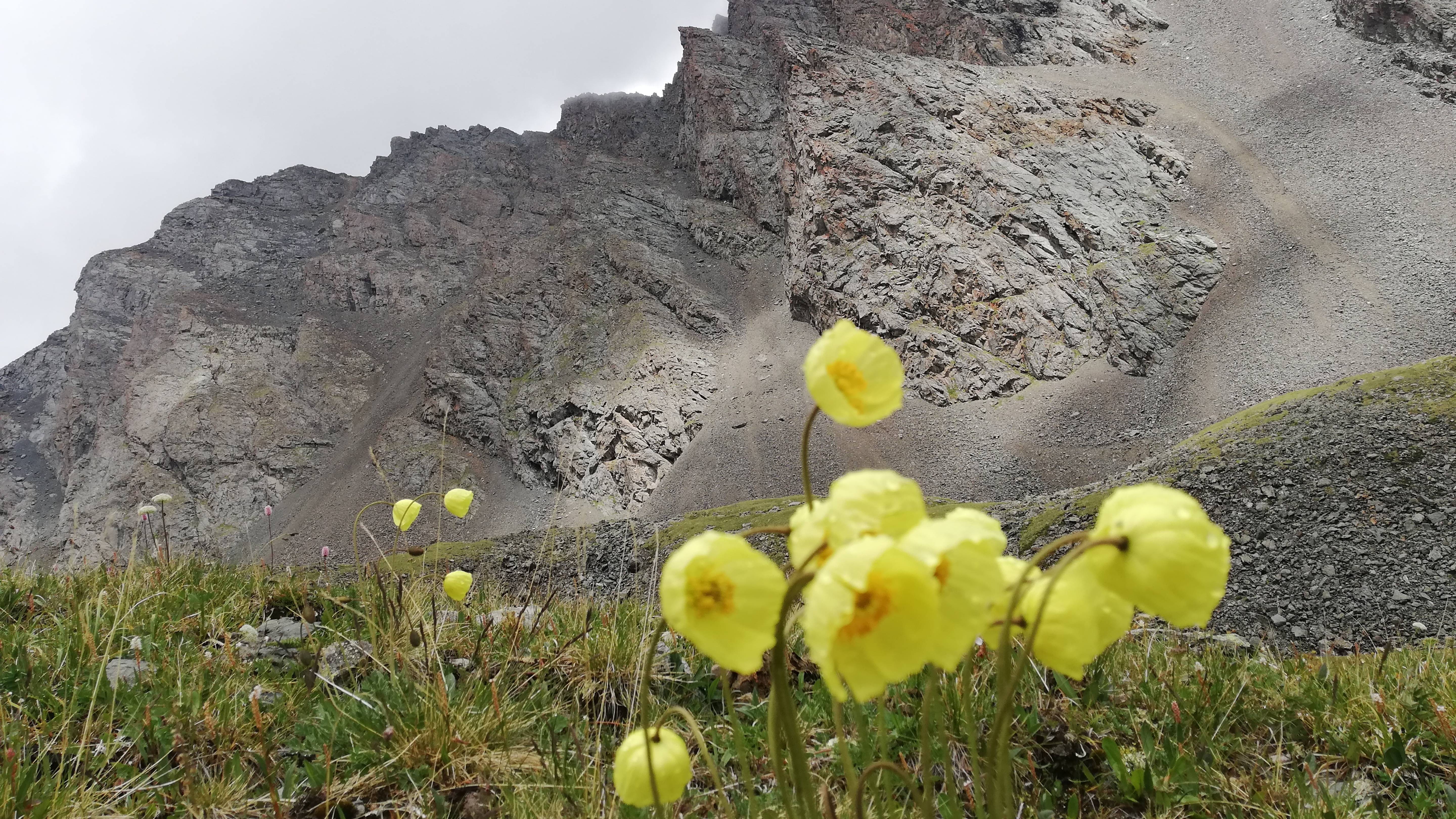 2-3 июля 2025 г. Путешествие на озеро Кайалу. 1 часть.