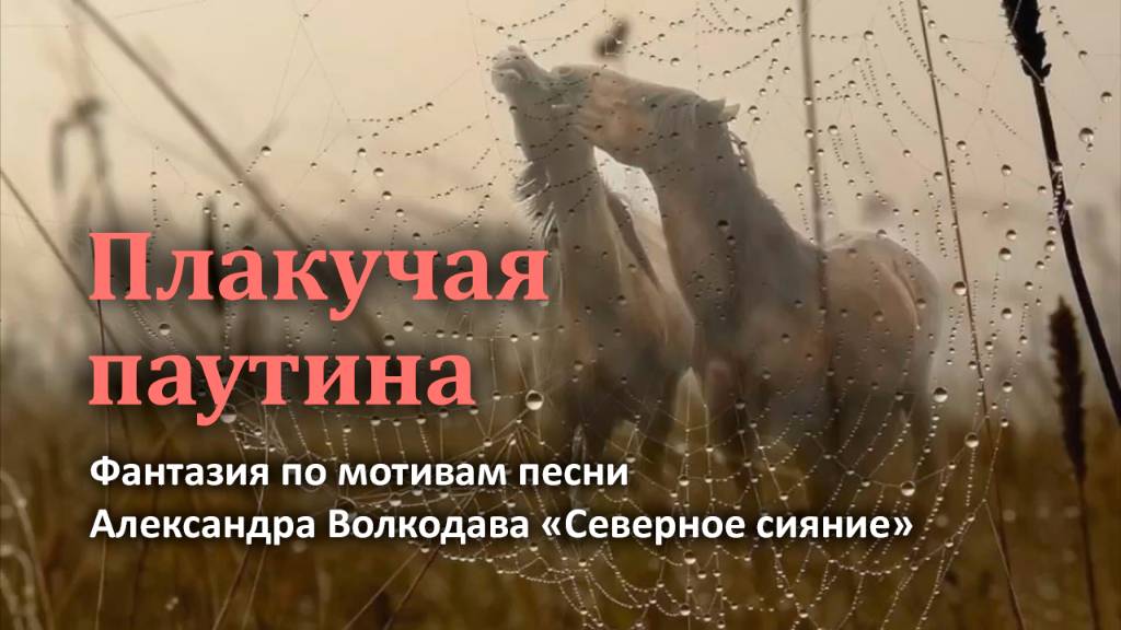 «Плакучая паутина». Фантазия по мотивам песни Александра Волкодава «Северное сияние»