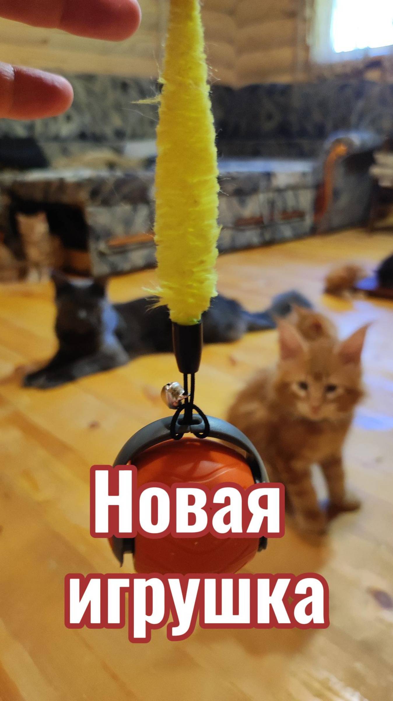 Новая игрушка - умный мяч