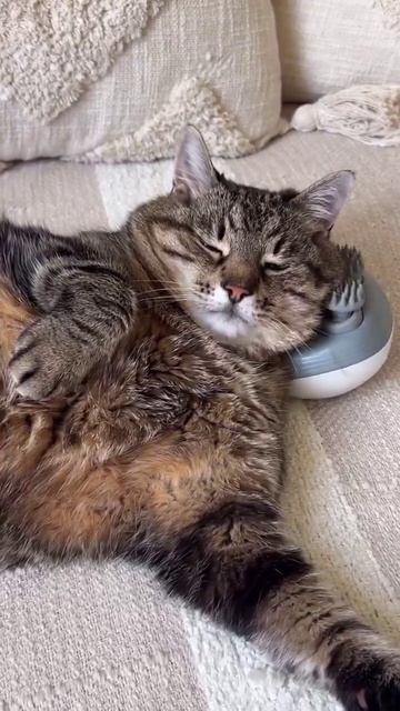 Планы на выходные