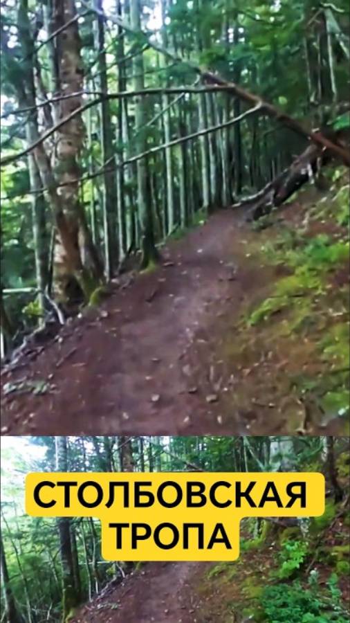 Столбовская тропа на острове Кунашир (Курилы)