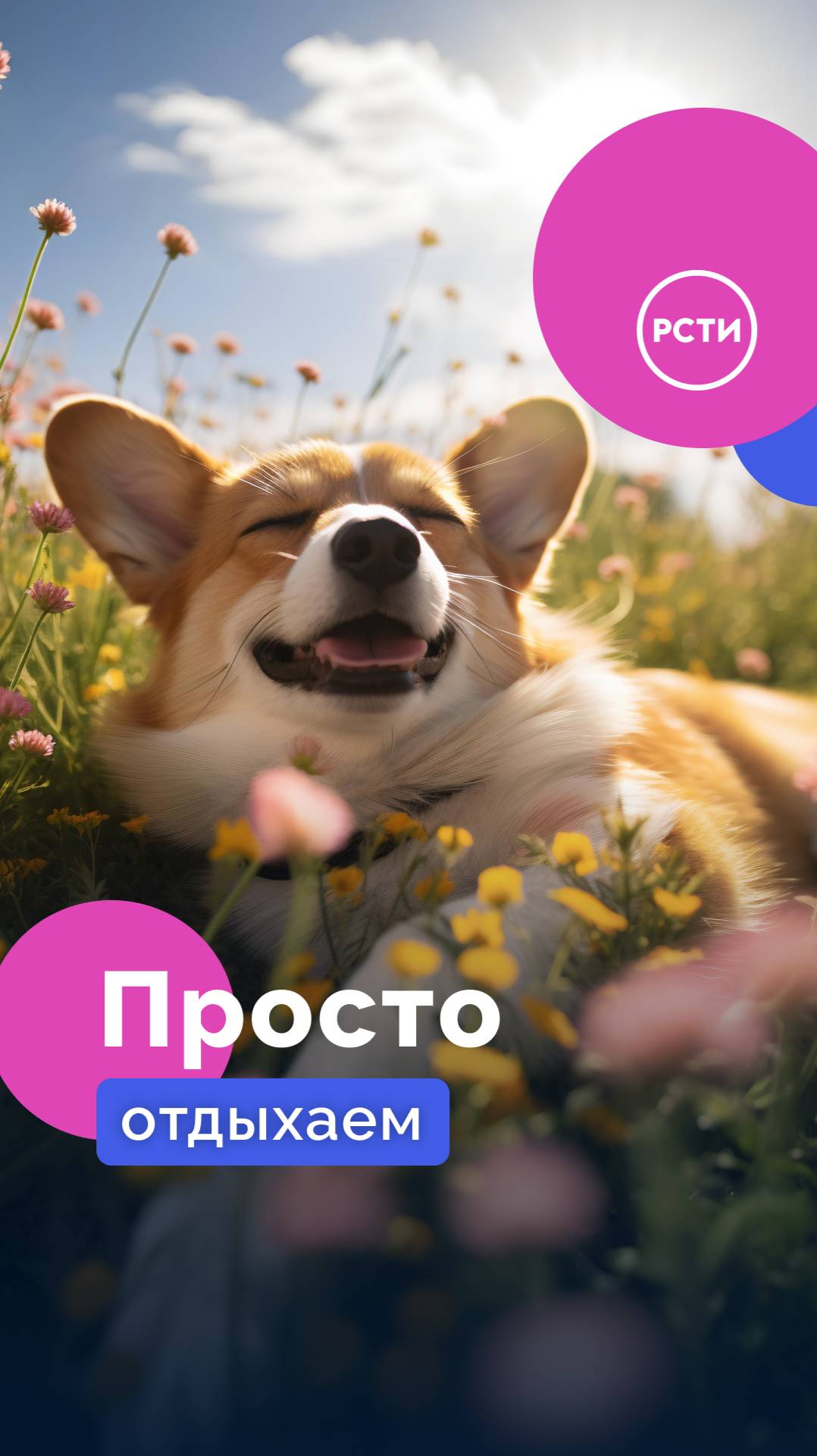 Эпизод 17. Благоустройство