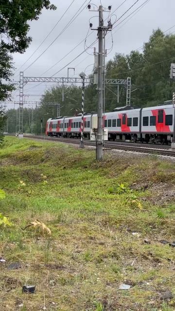 Поезда - ласточка едет без остановок через переезд