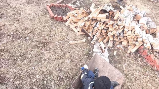 Степа помогает с дровами