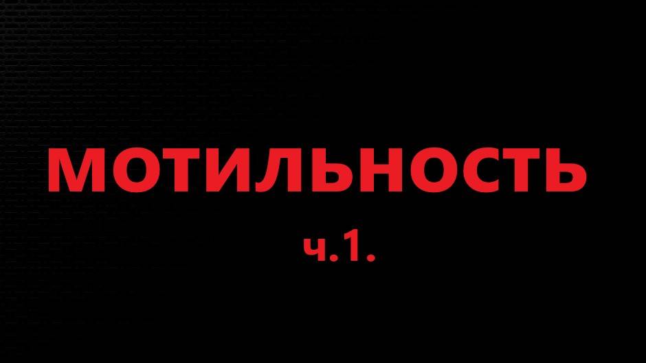 Мотильность. Движение ткани или энергии в ней?