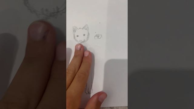 Тутор на бумажную собаку