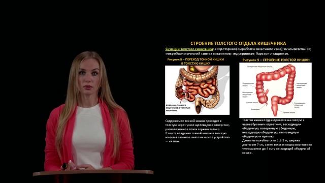 Лекция 1.1. Физиология пищеварения