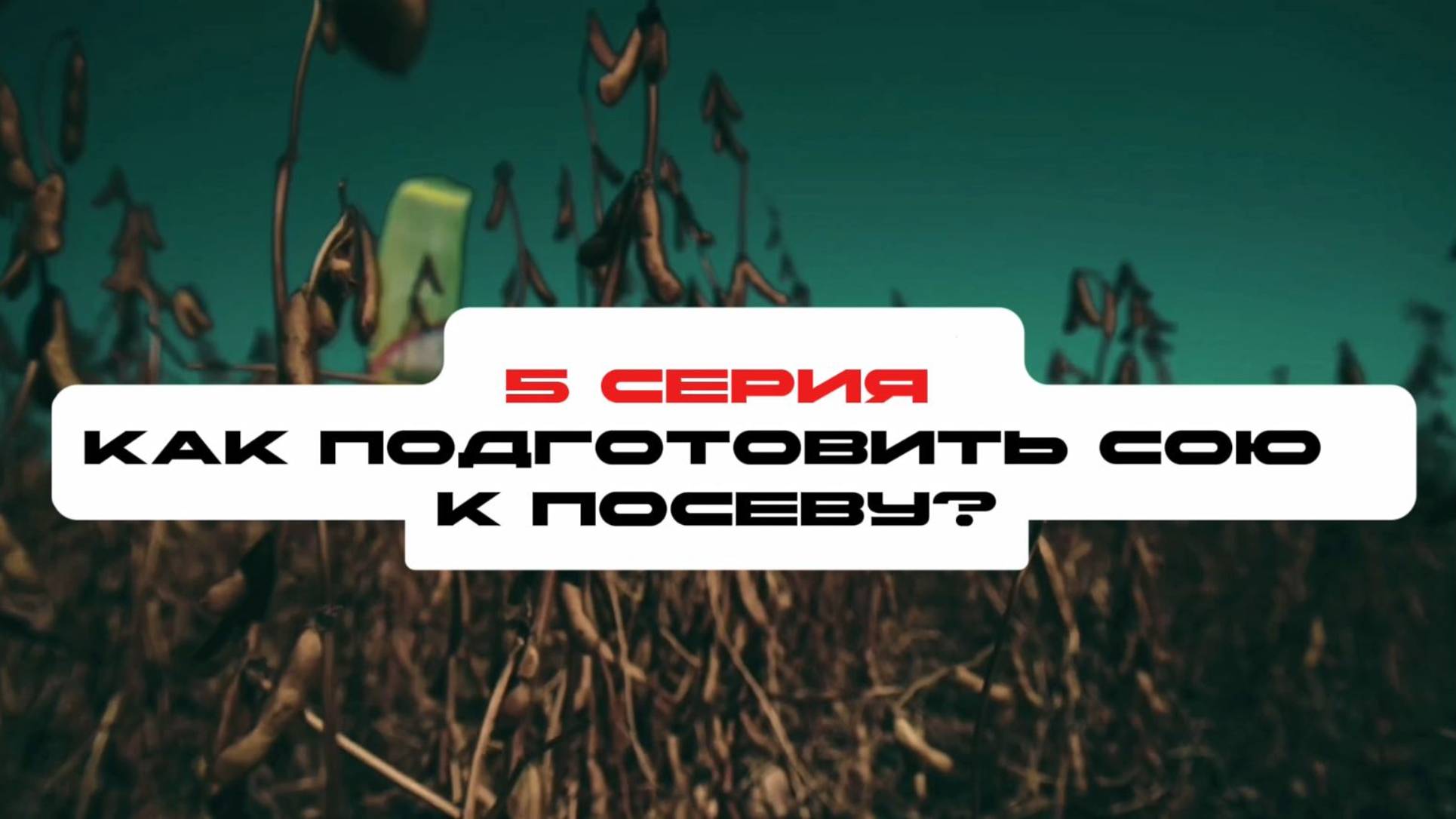 Соя с нуля. 5 серия. Как подготовить сою к посеву?