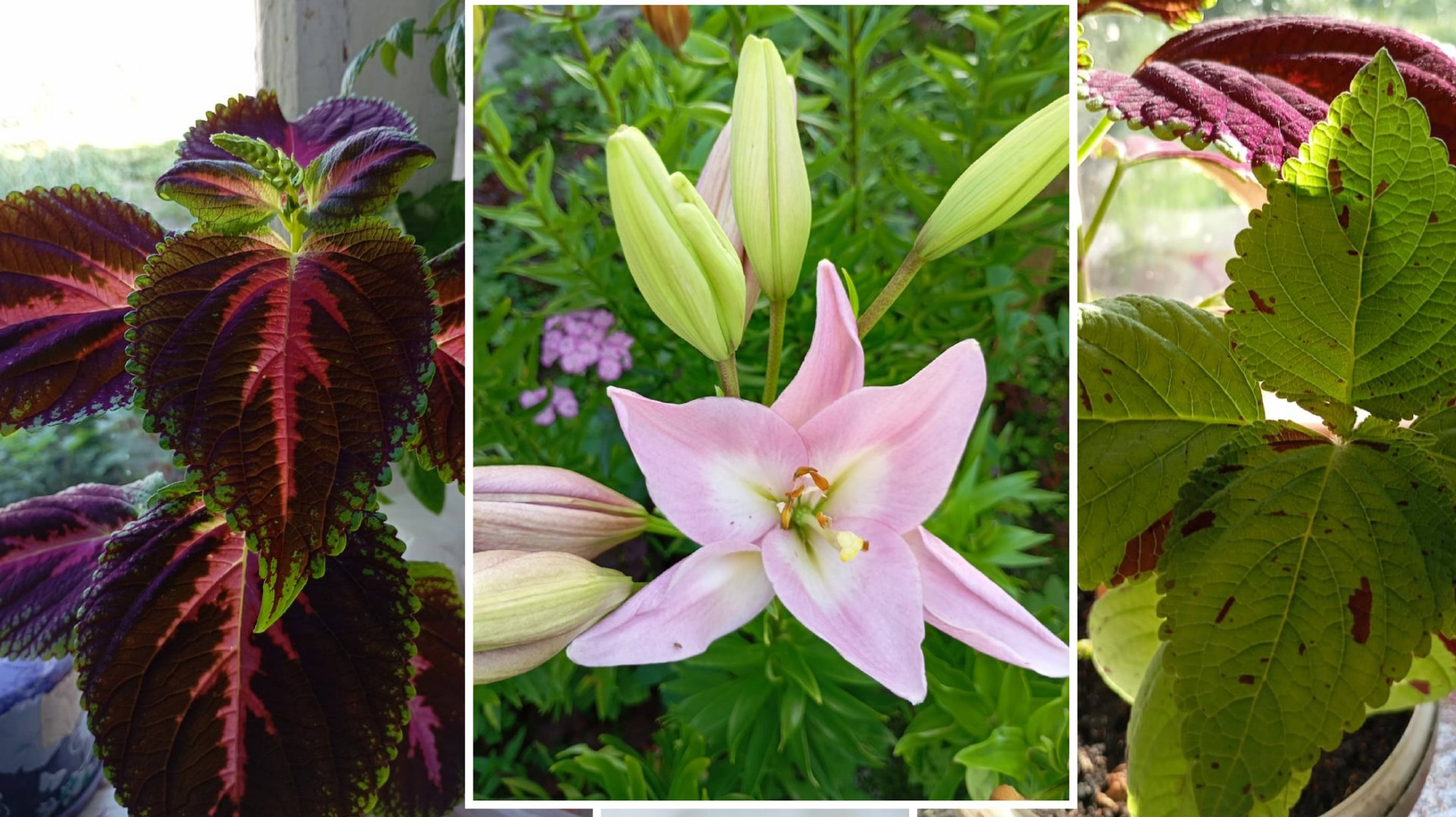 На улице жара - занимаюсь заготовками