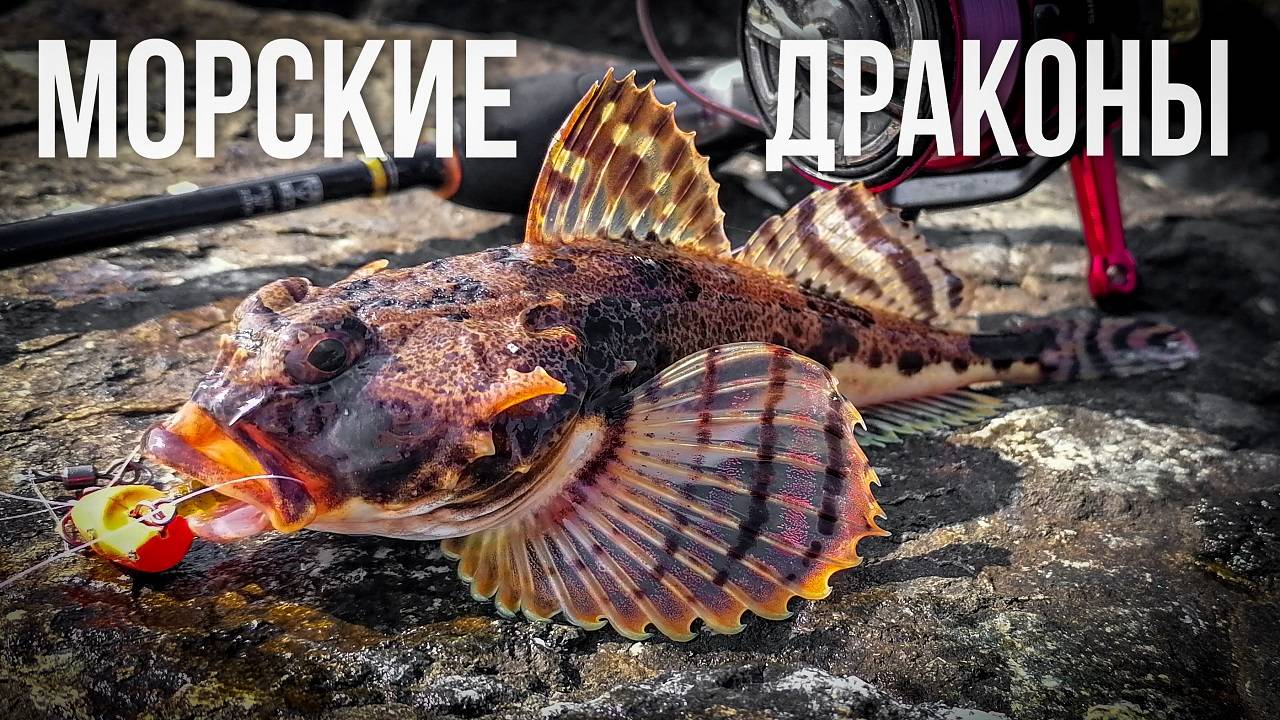 ИХ поймает КАЖДЫЙ, городская рыбалка во Владивостоке 2025