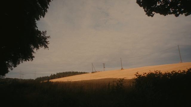 I tested IN-CAMERA Color Grading on my Sony A7C II