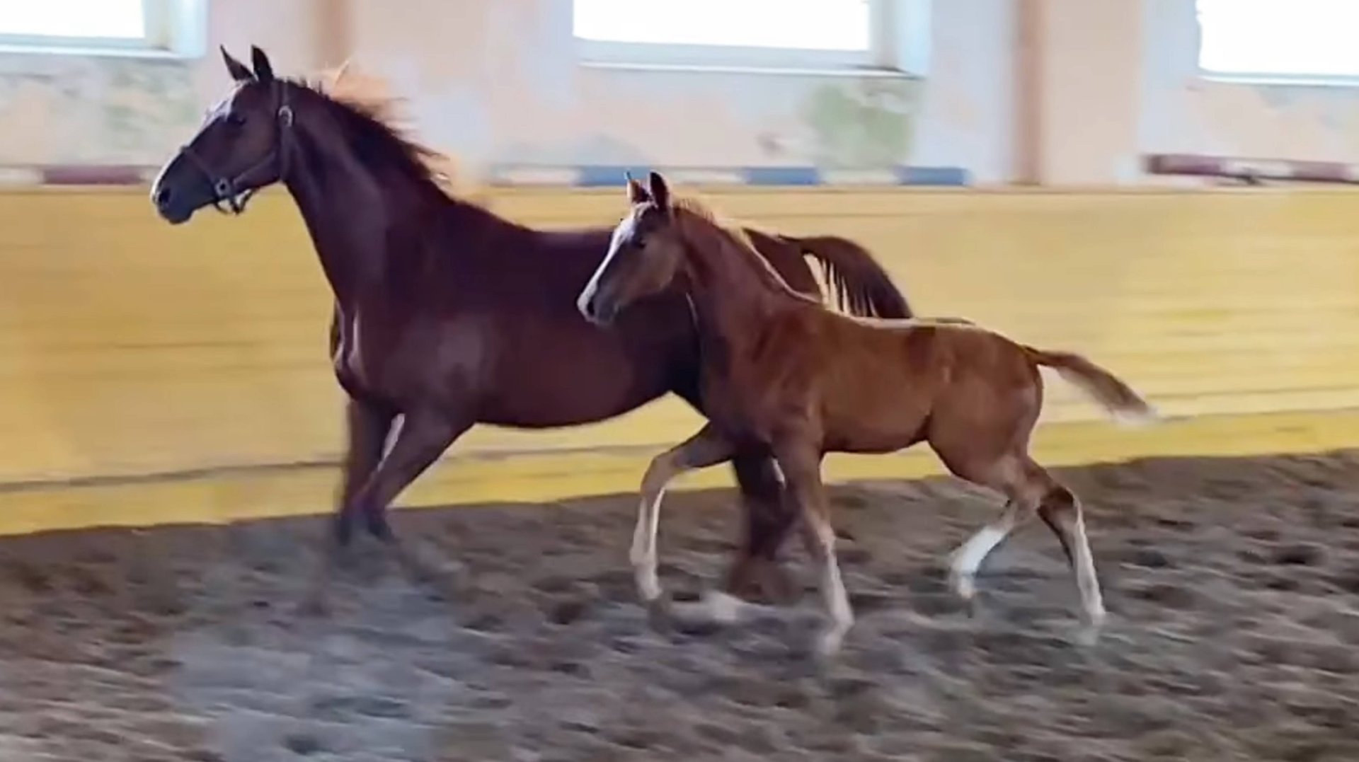 Жер. ДАДАЛ ХИТ, июль.