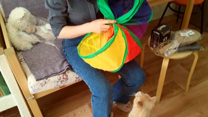 Интернет-заказ приехал