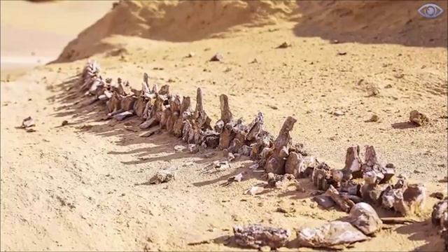 Это ШОКИРУЮЩЕЕ ОТКРЫТИЕ В России Поставило Ученых В Тупик