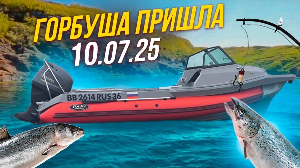 10.07.25 где горбуша?