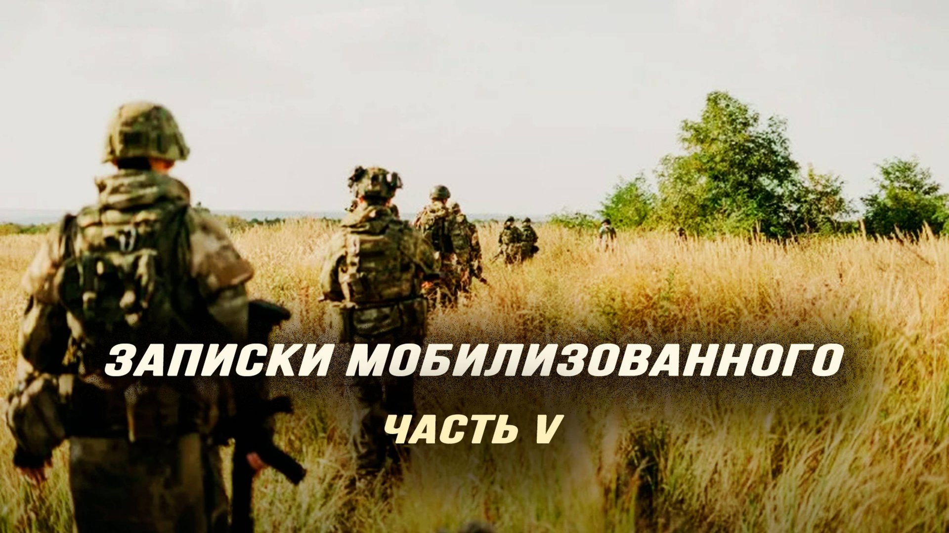Позывной «Шеф»: Зачем китаец, философ из далёкой Азии, пошёл на войну? Казалась бы, это не его война