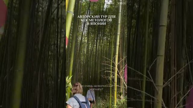 КАК ПРОХОДИТ НАШ ТУР В ЯПОНИИ?