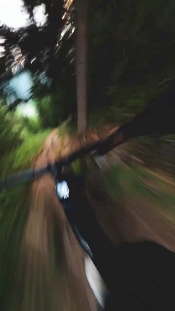 Вперед заре на встречу