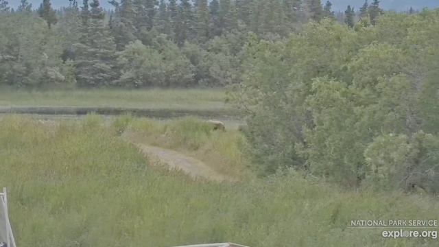 У мамы два медвежонка - один светлый- друой темные -спортивные ребята