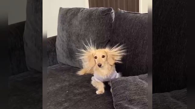 Наэлектрилизовался