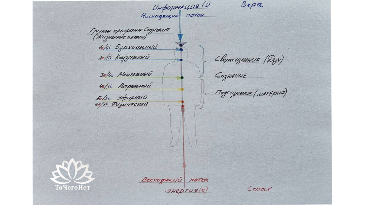 Жизненная среда Сознания | Структура | Энерго-информационная система человека | Информационика