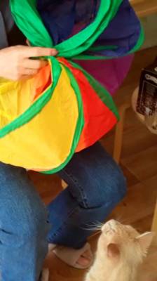 Заказ (трейлер)