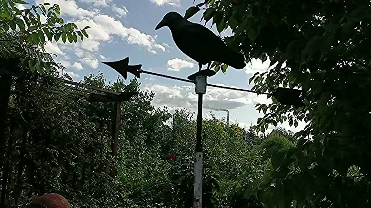 Флюгер "ВОРОНА" - пугало для птиц.