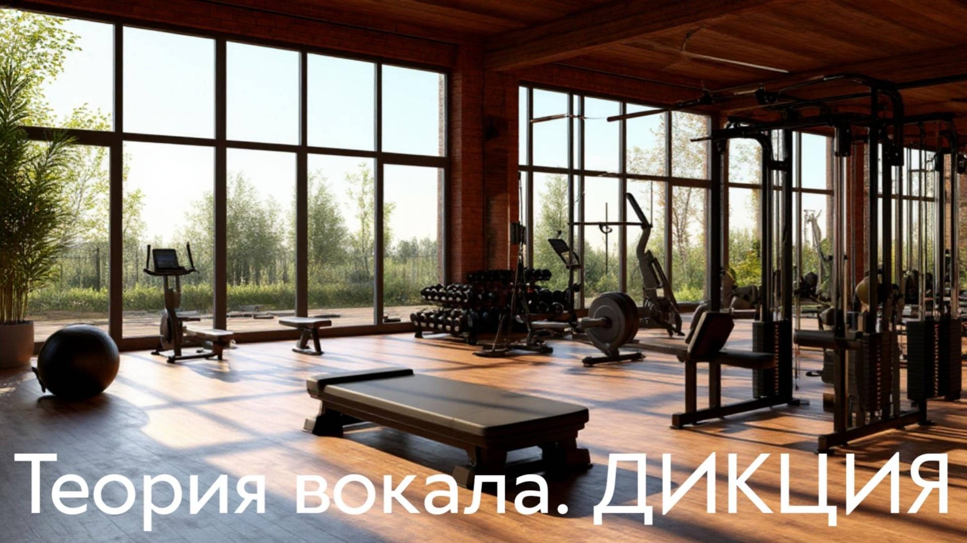 Дикция внешняя и внутренняя