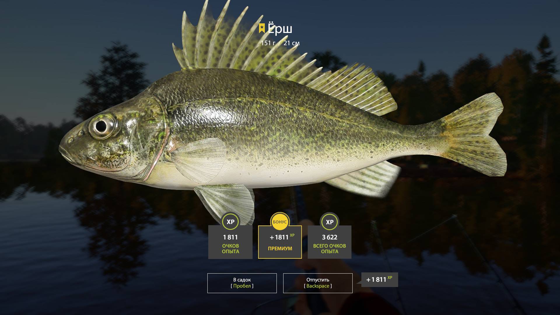 ТРОФЕЙ ЕРШ!!!КОМАРИНОЕ - РУССКАЯ РЫБАЛКА 4