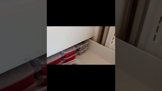 наш сад 11 июля